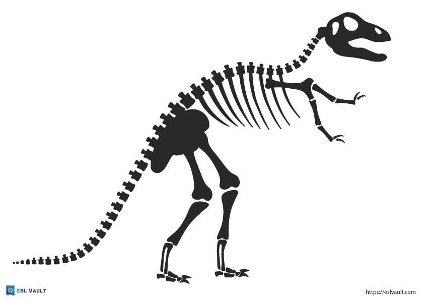 20 Free printable dinosaur skeletons (PDF) - ESL Vault
