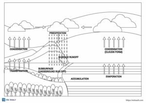 12 Free water cycle coloring pages and diagrams - ESL Vault