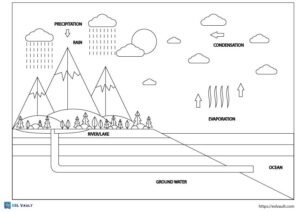 12 Free water cycle coloring pages and diagrams - ESL Vault