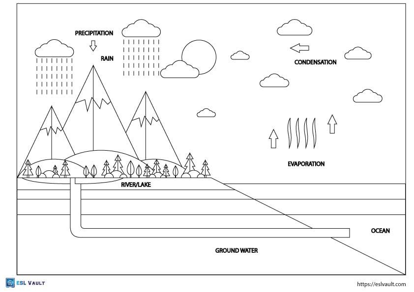 12 Free water cycle coloring pages and diagrams - ESL Vault