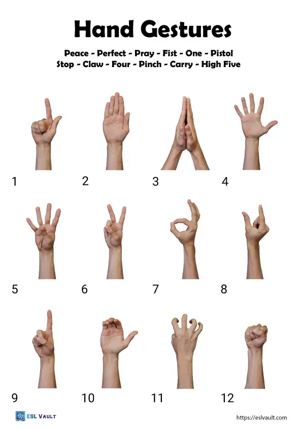 Vector Hand Gestures With Meanings Stock Vector 47 OFF